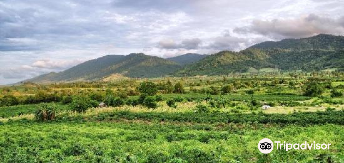 Things to Do in Khemara Phoumin in 2025 - Top Attractions, Local Food ...