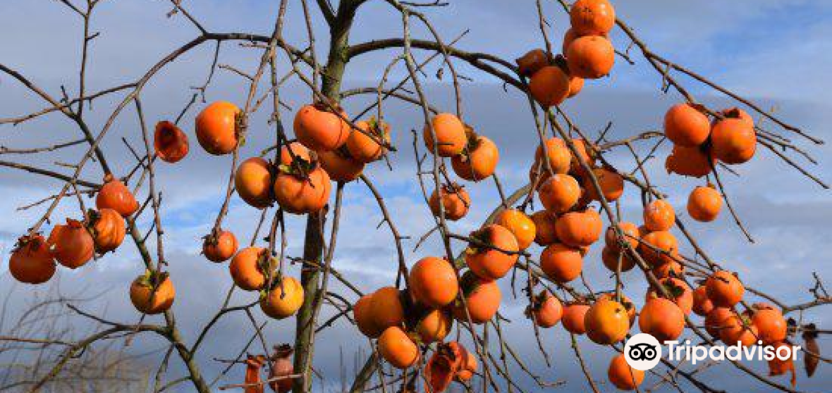 เที่ยวPiarere (2024) - ที่เที่ยวใน Piarere, กิจกรรมสนุกๆ, โรงแรม ...