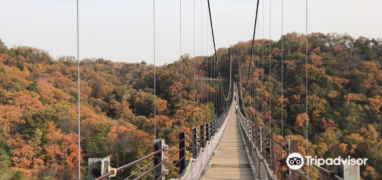 Katano Travel Guide 2024 - Things to Do, What To Eat & Tips | Trip.com