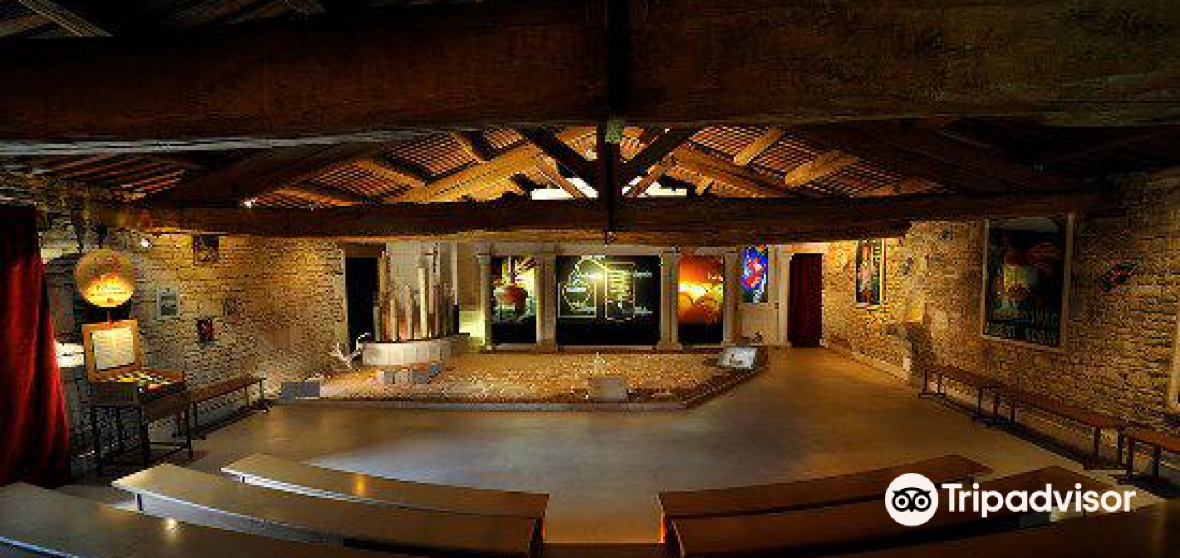 Migron 2024 Top Things to Do - Migron Travel Guides - Top Recommended ...