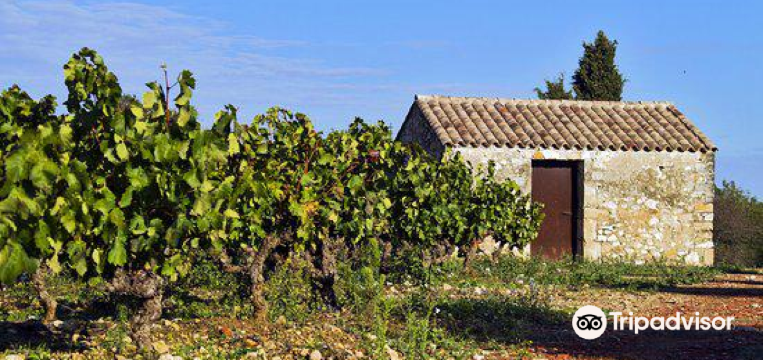 Things to Do in Jacou in 2024 - Top Attractions, Local Food, Hotels ...