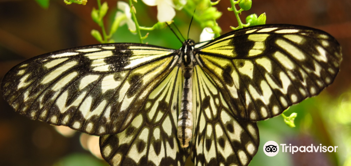 Things to Do in Candijay in 2024 - Top Attractions, Local Food, Hotels ...