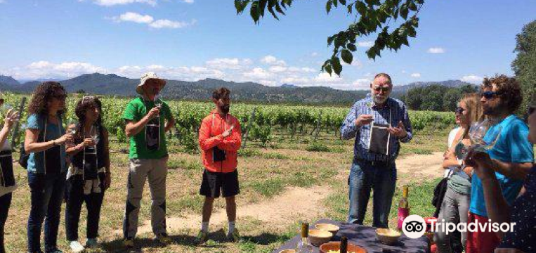 Things to Do in Ginestar in 2024 - Top Attractions, Local Food, Hotels ...