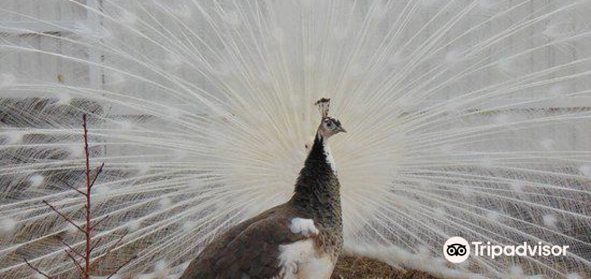 เที่ยวKereki (2024) - ที่เที่ยวใน Kereki, กิจกรรมสนุกๆ, โรงแรม ...