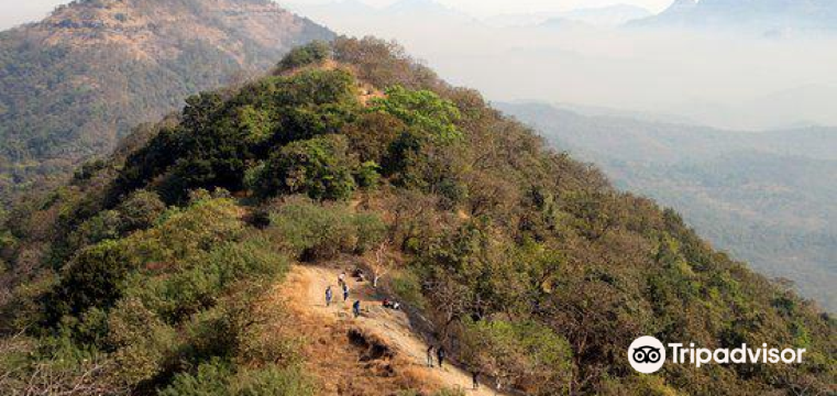 Kalamboli Travel Guide 2023 - Things to Do, What To Eat & Tips | Trip.com