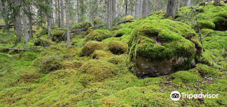 Gullringen Travel Guide 2023 - Things to Do, What To Eat & Tips | Trip.com