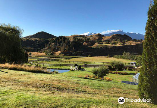 Closest Hotels Near Historic Tunnel Walk Lookout - Coronet Peak | Trip.com