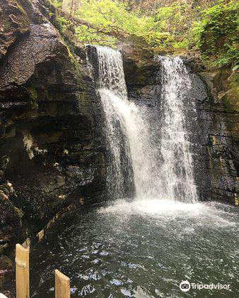 Onikobe Jigokudani Nature Trail 티켓 할인, 운영 시간, 후기 [2025년] | Trip.com