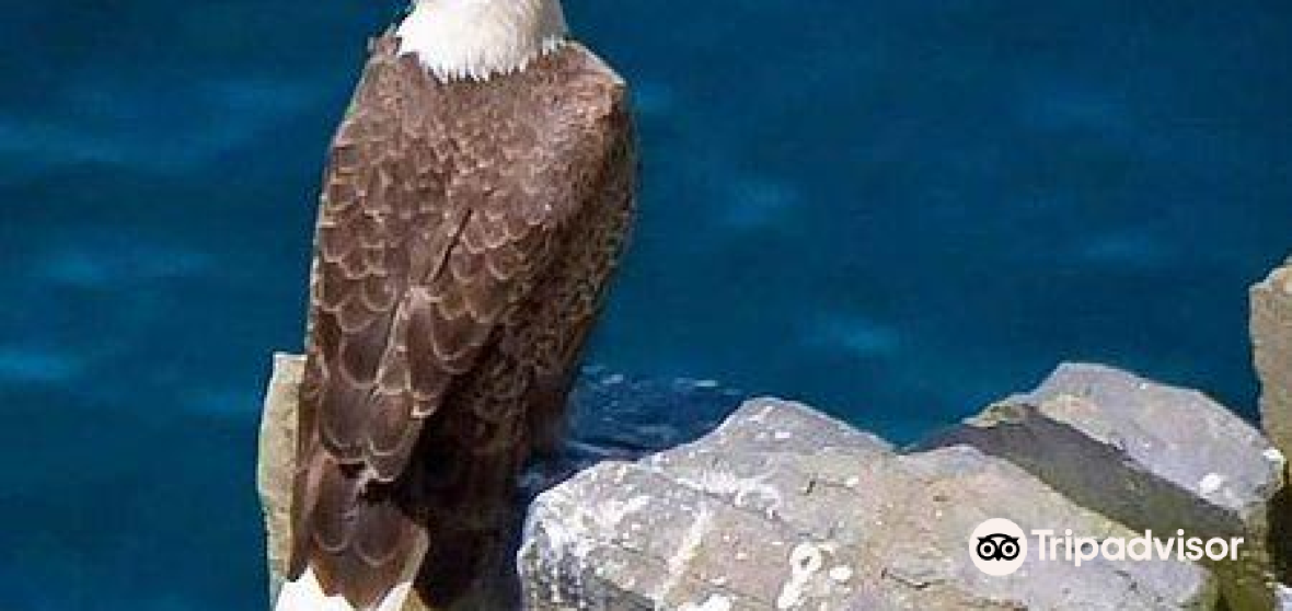 Saint Bride's Travel Guide 2023 - Things to Do, What To Eat & Tips ...