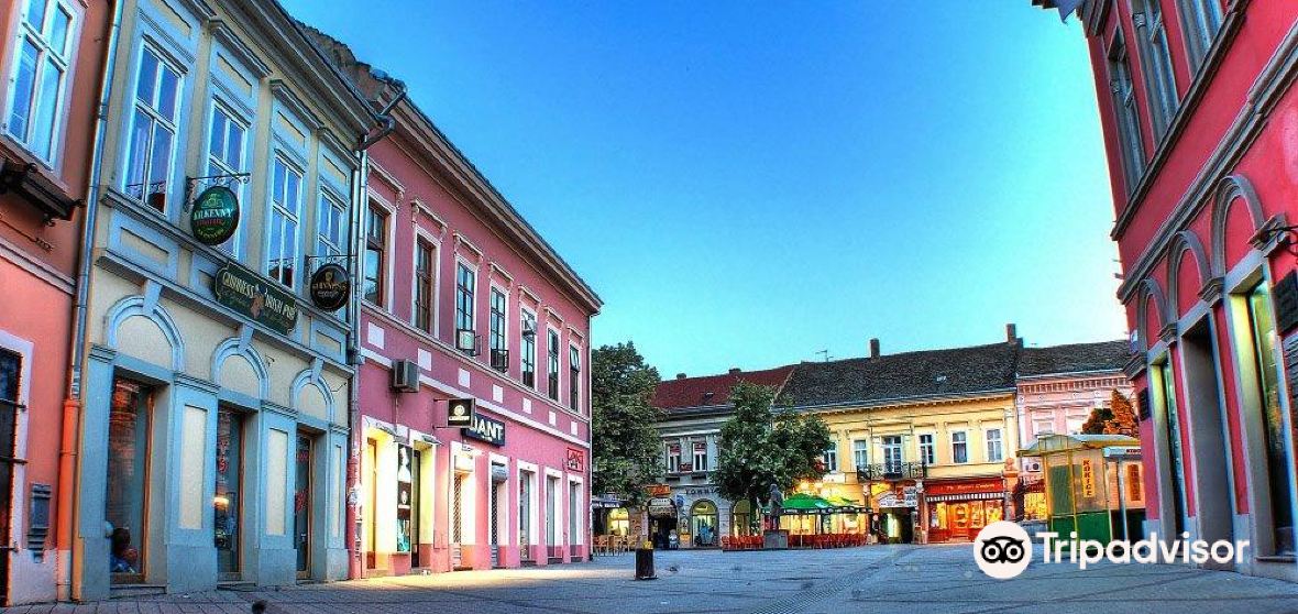 Veternik Travel Guide 2024 - Things to Do, What To Eat & Tips | Trip.com