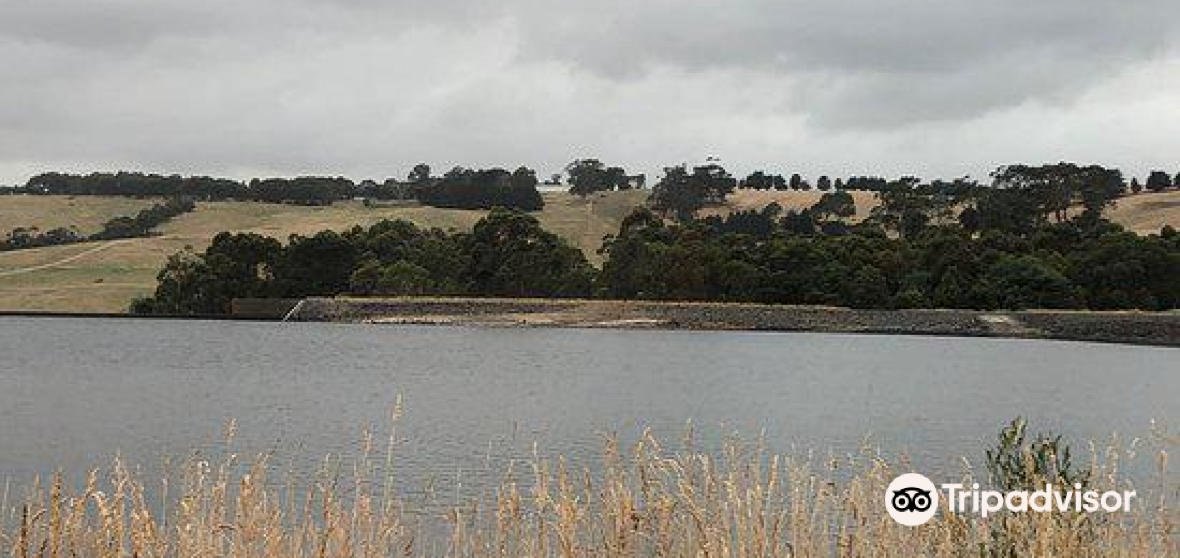 Glen Alvie Travel Guide 2024 - Things to Do, What To Eat & Tips | Trip.com