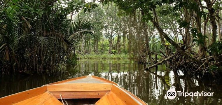 คู่มือท่องเที่ยวใกล้Piasau Piasau: กิจกรรม สภาพอากาศ การเดินทาง สถานที่ ...