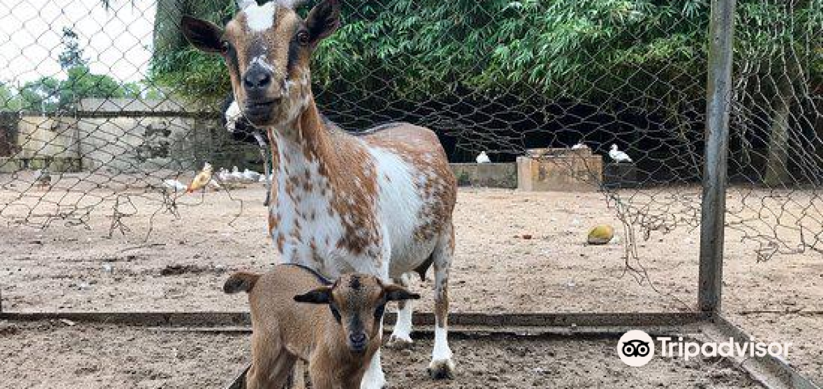 Assinie-Mafia Travel Guide 2024 - Things to Do, What To Eat & Tips ...