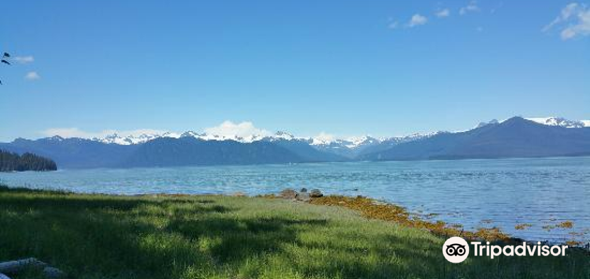 Things to Do in Port Alexander in 2025 - Top Attractions, Local Food ...