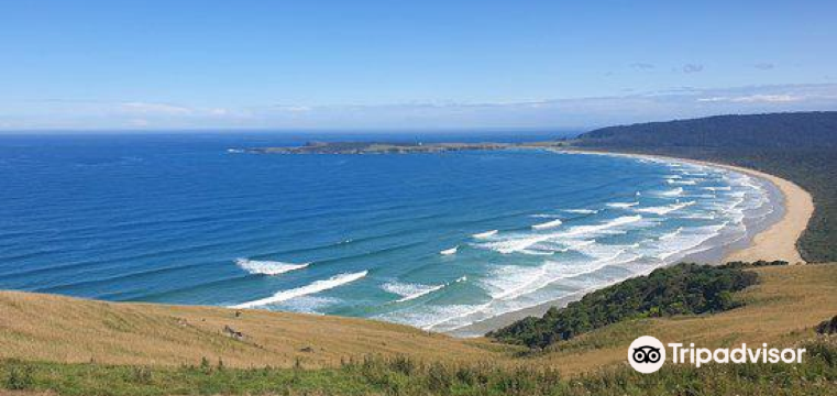 Papatowai Travel Guide 2023 - Things to Do, What To Eat & Tips | Trip.com