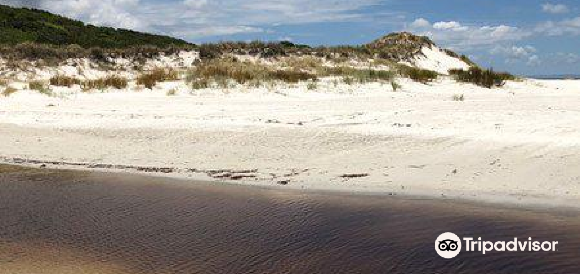 Things to Do in Ngataki in 2025 - Top Attractions, Local Food, Hotels ...