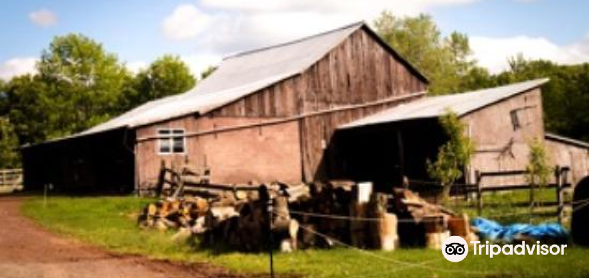 Callicoon Travel Guide 2024 - Things to Do, What To Eat & Tips | Trip.com