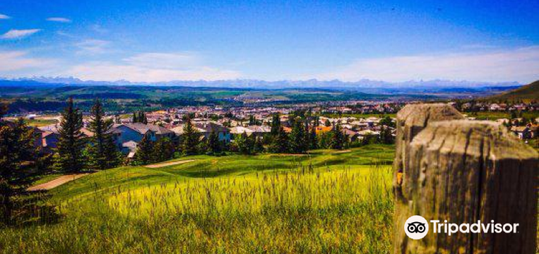 Cochrane Travel Guide 2024 - Things to Do, What To Eat & Tips | Trip.com