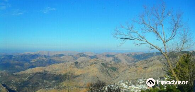 Things to do in Patriata (2025): Top nearby activities,popular ...