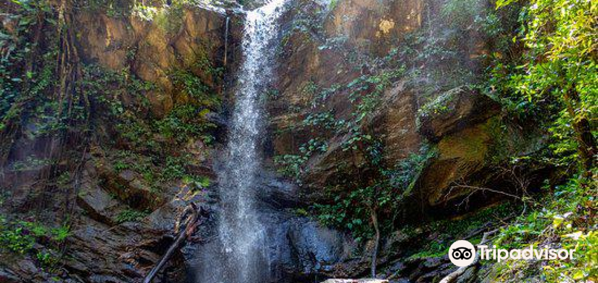 Brasso Seco Village Travel Guide 2024 - Things to Do, What To Eat ...