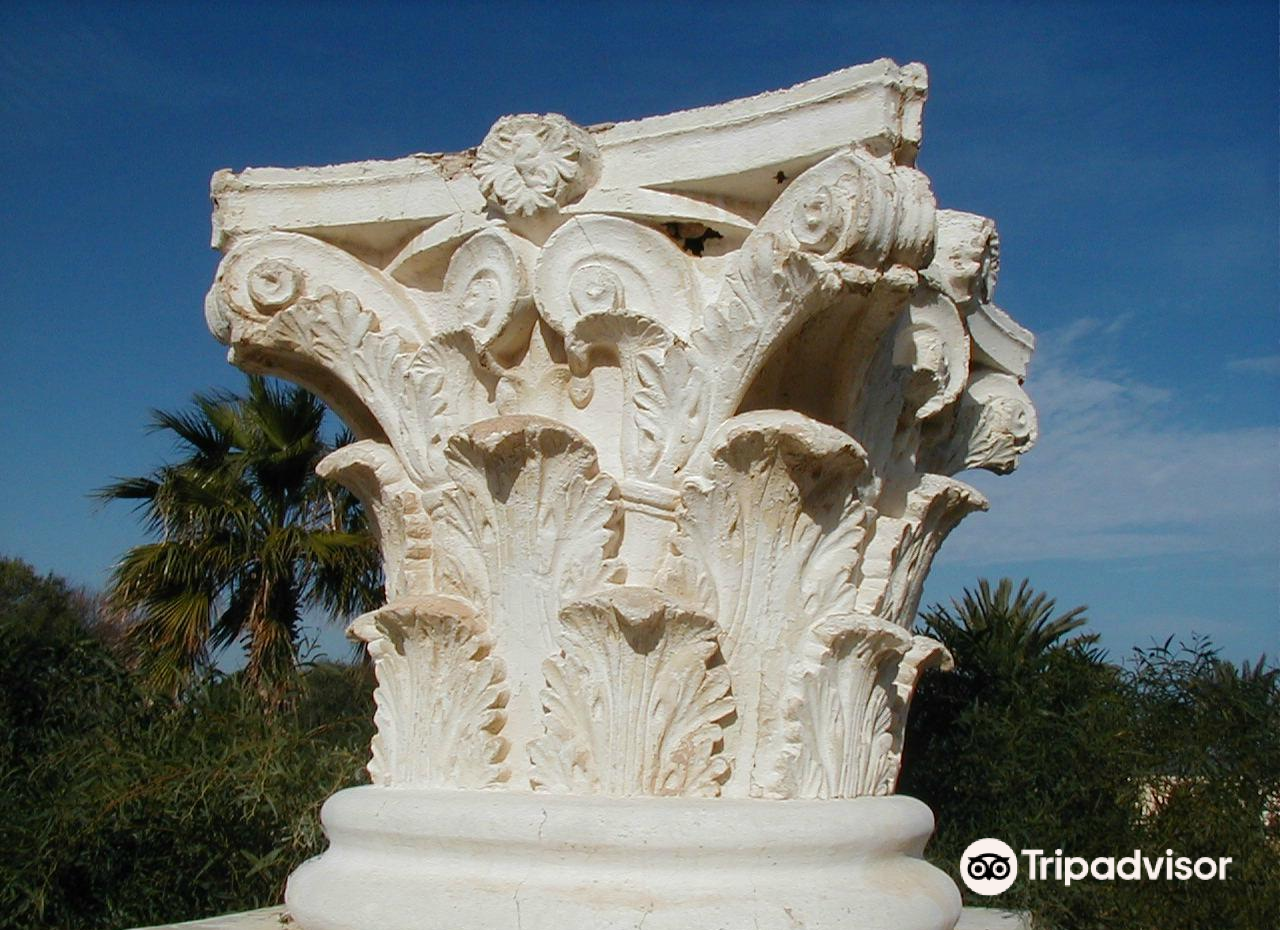 Lamta Archaeological Museum: ภาพถ่าย, แผนที่ & รีวิว [2024] | Trip.com