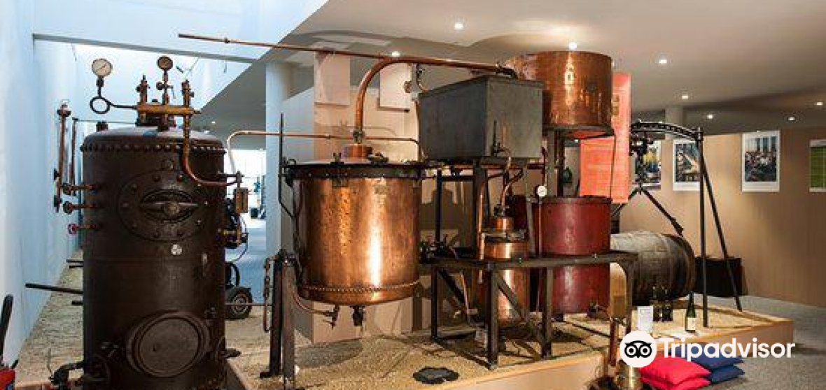 Things to Do in Le Pallet in 2024 - Top Attractions, Local Food, Hotels ...