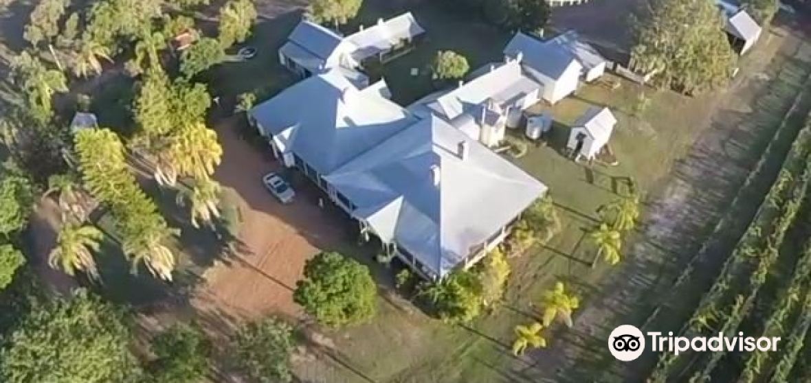 Elbow Valley Travel Guide 2023 - Things to Do, What To Eat & Tips ...