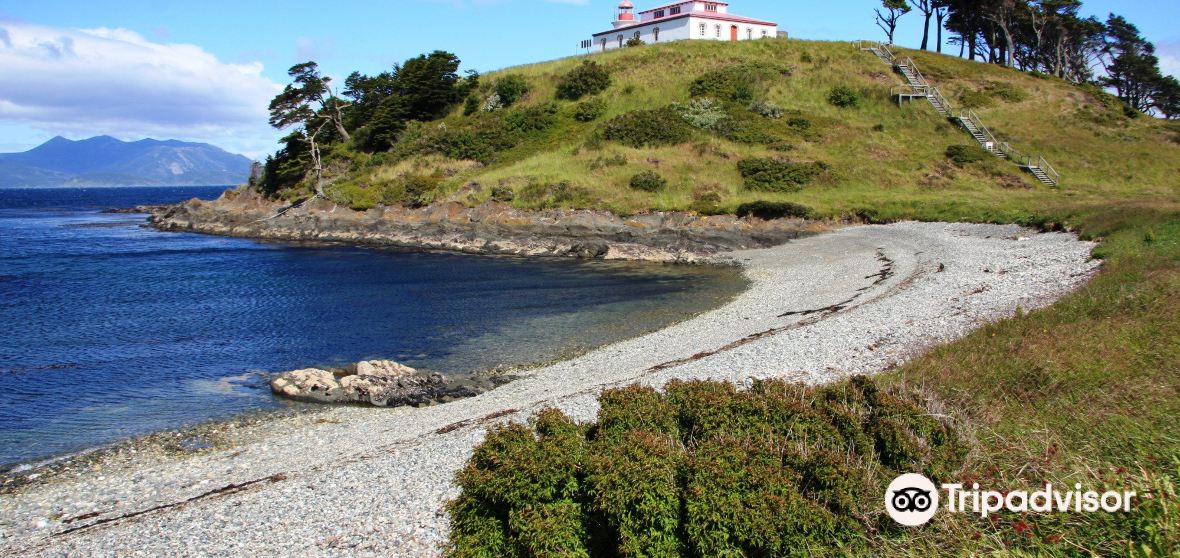 Things to Do in XII Region of Magallanes and Chilean Antarctica in 2024 ...