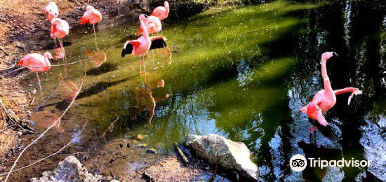 แนะนำการเดินทาง Upie 2024 - สิ่งที่ควรทำ, อาหารที่ควรรับประทาน & ทิปการ ...