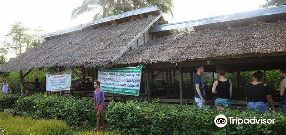 Maribojoc Travel Guide 2024 - Things to Do, What To Eat & Tips | Trip.com