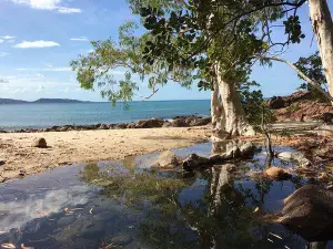 2023年Junqueiropolisの人気観光スポット - Junqueiropolisの旅行ガイド - Junqueiropolisの ...