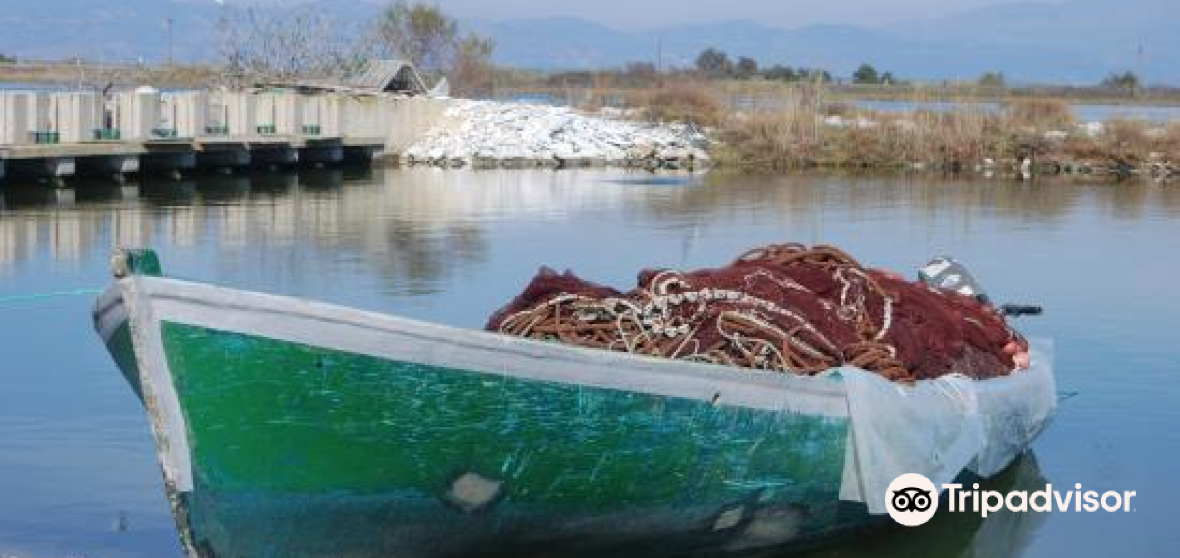 Avdira Travel Guide 2024 - Things to Do, What To Eat & Tips | Trip.com