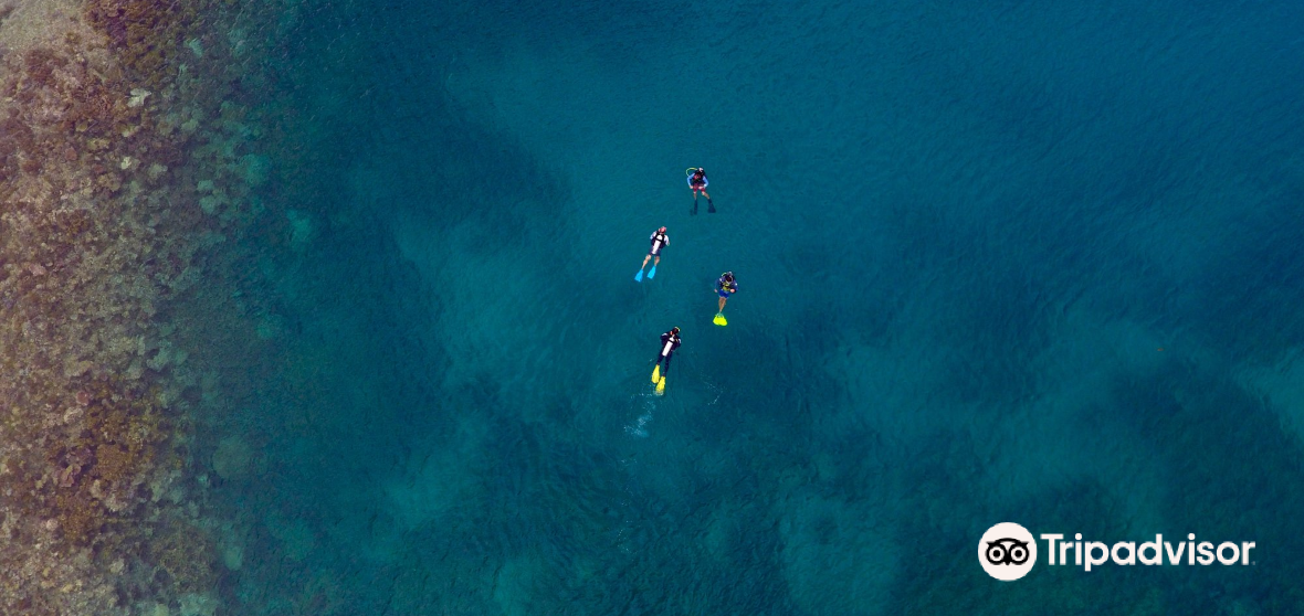 Things to Do in Matautu in 2024 - Top Attractions, Local Food, Hotels ...