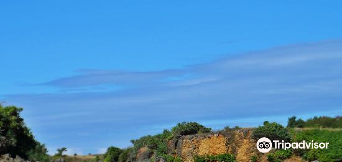 Things to Do in Dasol in 2025 - Top Attractions, Local Food, Hotels ...