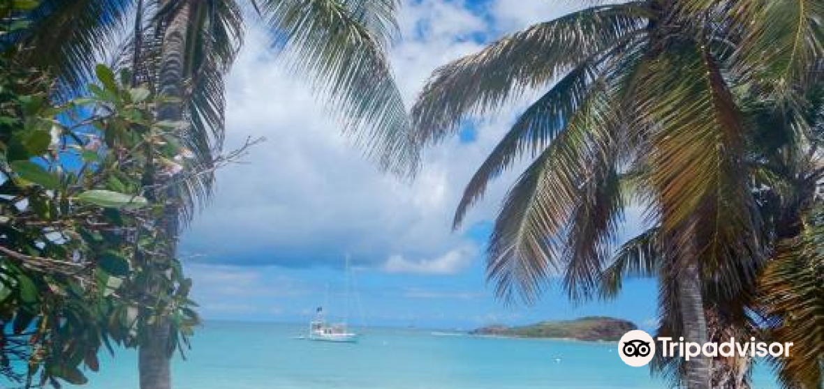 Culebra Travel Guide 2024 - Things to Do, What To Eat & Tips | Trip.com