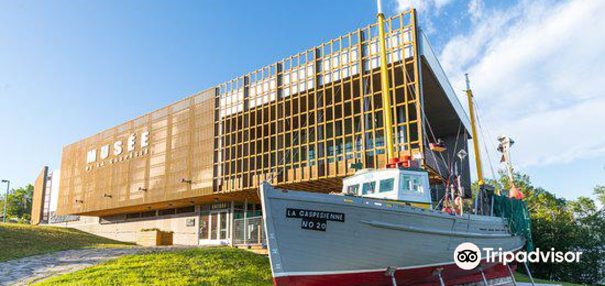 La Cote-de-Gaspe Travel Guide 2024 - Things to Do, What To Eat & Tips ...