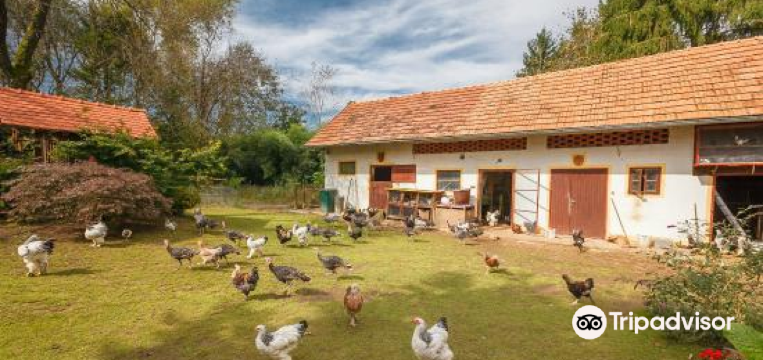Things to Do in Dobova in 2024 - Top Attractions, Local Food, Hotels ...