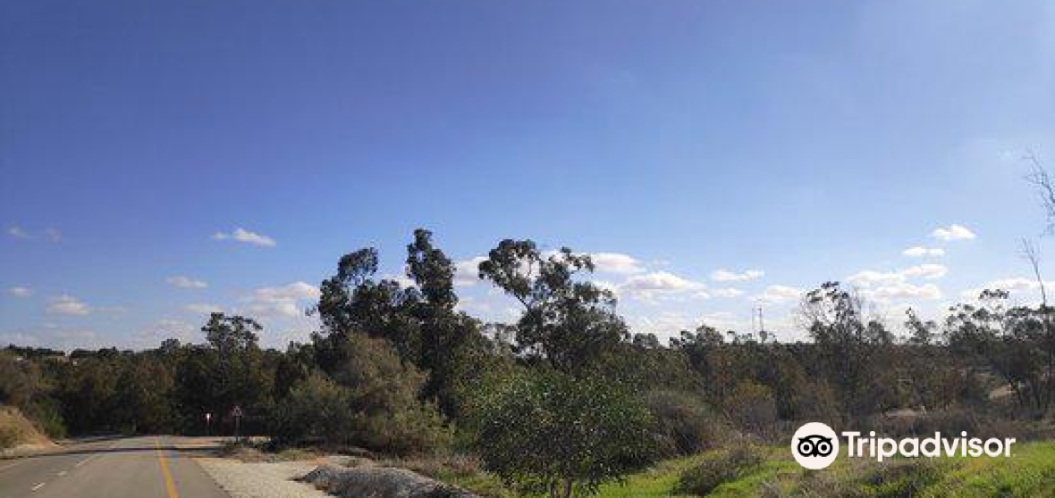 Things to Do in Kibbutz Ruhama in 2025 - Top Attractions, Local Food ...