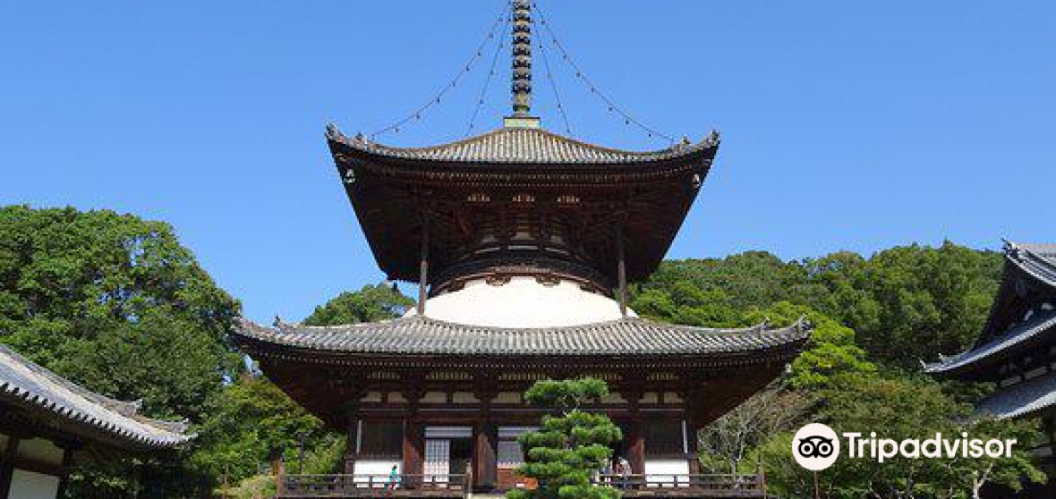 Kaizuka Travel Guide 2024 - Things to Do, What To Eat & Tips | Trip.com