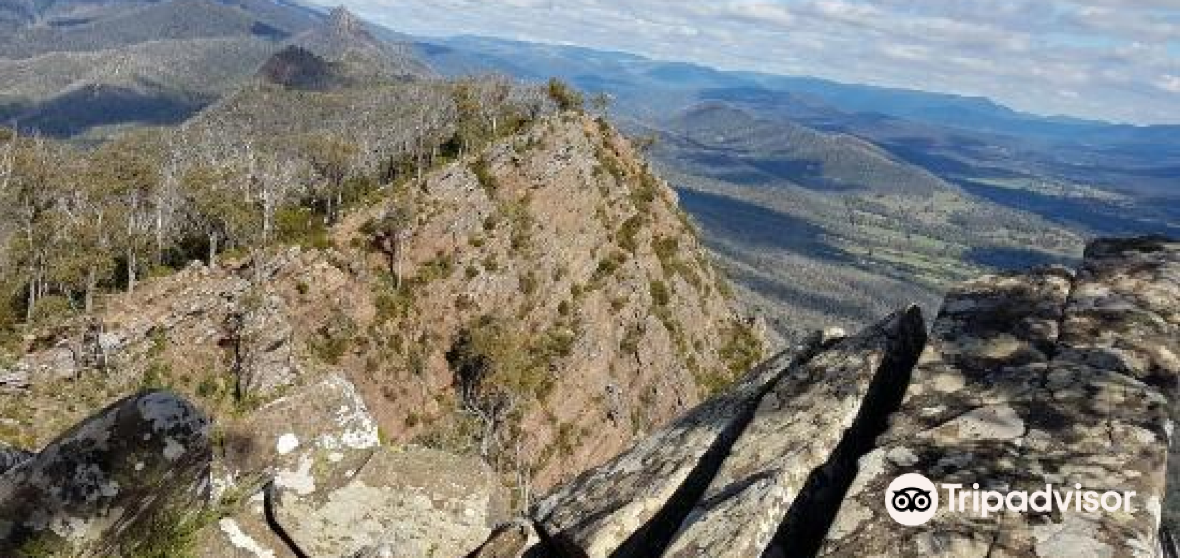 Things to Do in Taggerty in 2025 - Top Attractions, Local Food, Hotels ...