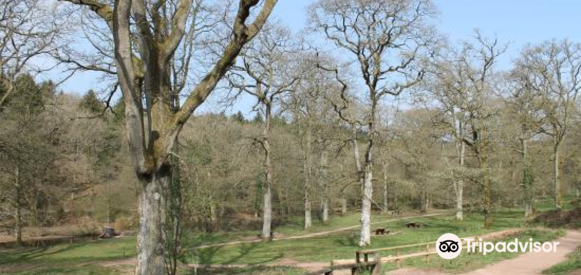 เที่ยวYorkley (2024) - ที่เที่ยวใน Yorkley, กิจกรรมสนุกๆ, โรงแรม ...