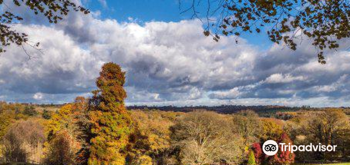 Things to Do in Handcross in 2025 - Top Attractions, Local Food, Hotels ...