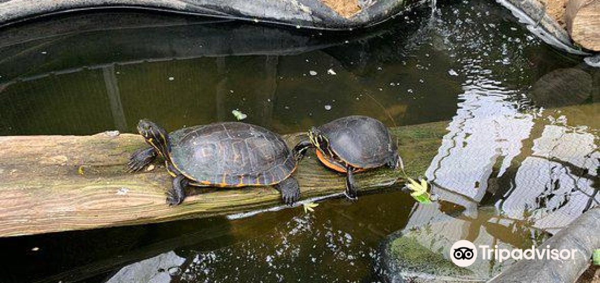 Earnley Travel Guide 2023 - Things to Do, What To Eat & Tips | Trip.com