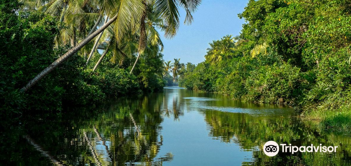 Things to Do in Bopitiya in 2025 - Top Attractions, Local Food, Hotels ...