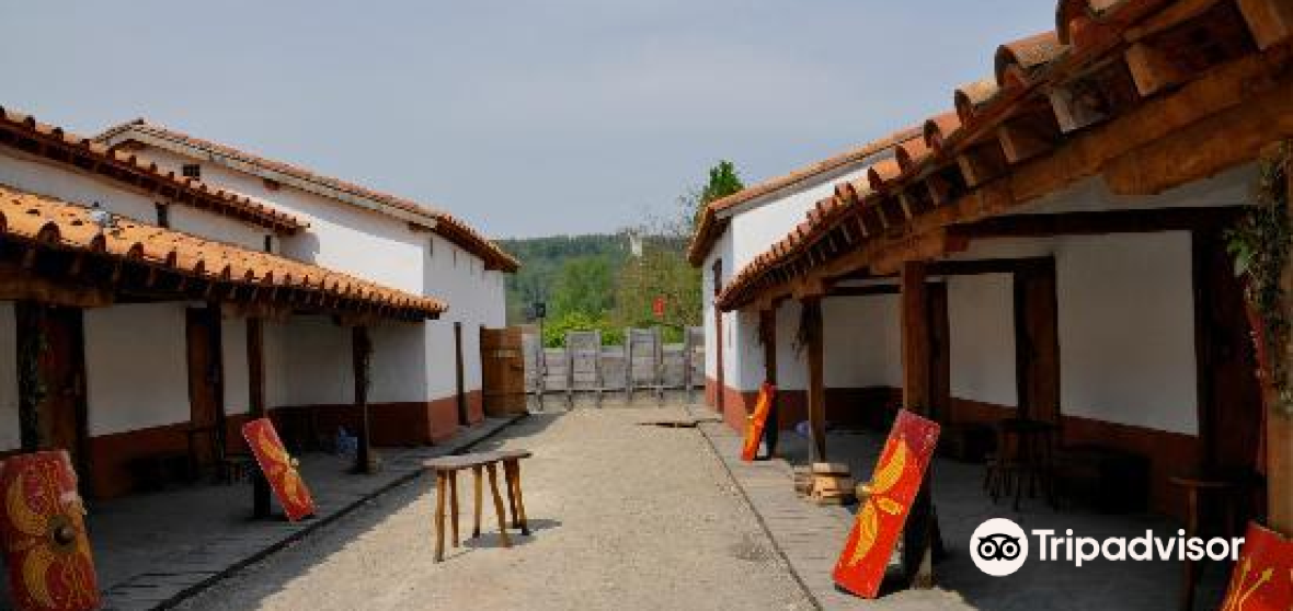 Things to Do in Windisch in 2025 - Top Attractions, Local Food, Hotels ...