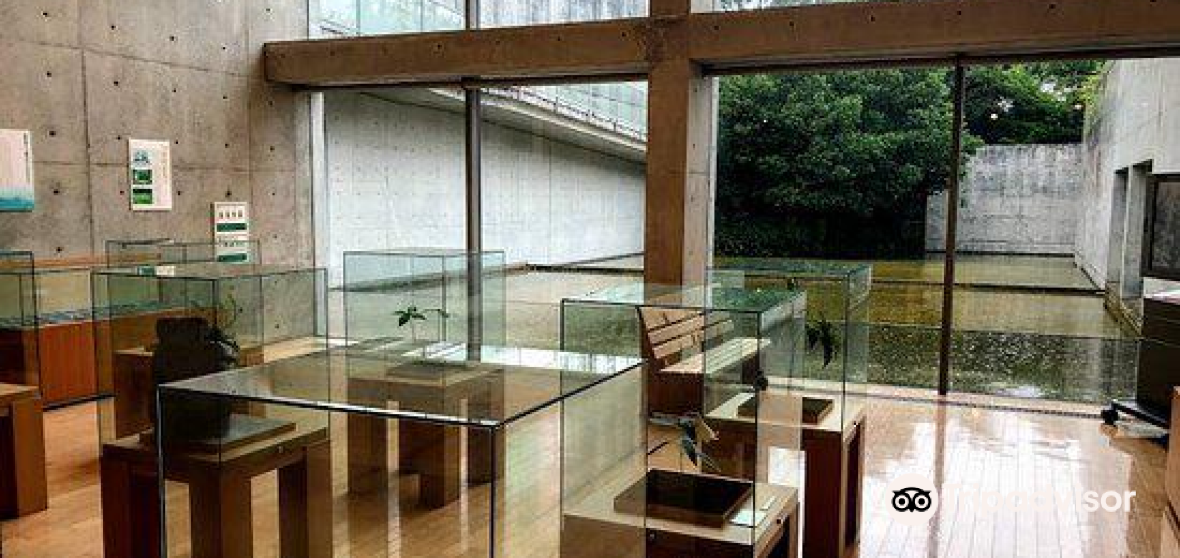 Things to do in Ochi (2025): Top nearby activities,popular attractions ...