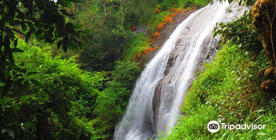 Hotels Near Hanging bridge, Kanive, Kodagu - Book with Free ...