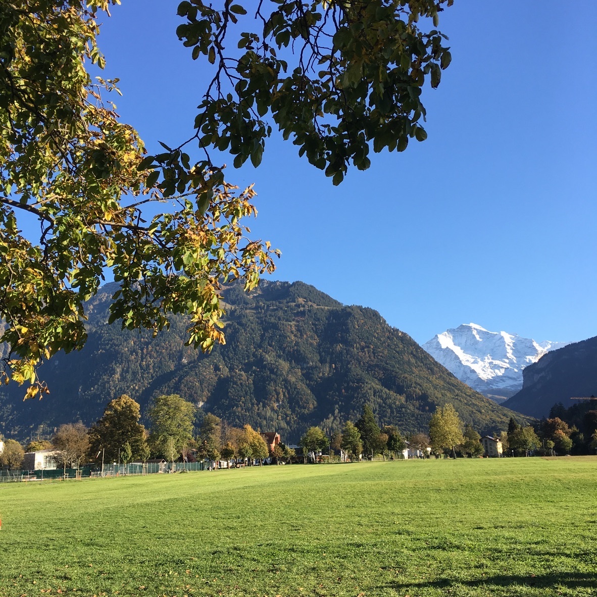 Latest Koala Beach Resort Map,Address, Nearest Station & Airport 2025 ...