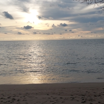 Latest Avani Sepang Goldcoast Resort Kuala Lumpur Map,Address, Nearest ...