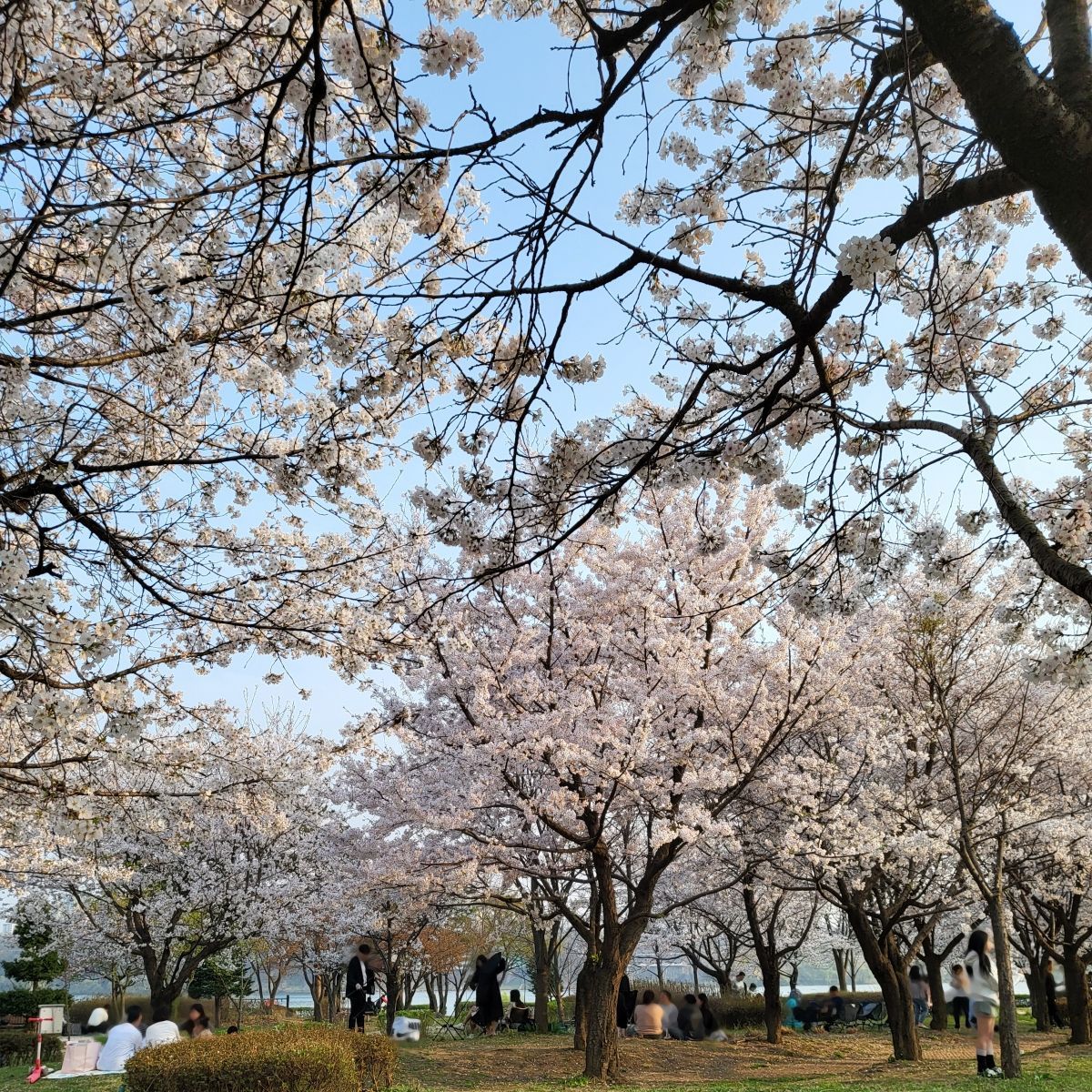 Modala Beach Resort,Panglao - Updated 2024 Reviews & Prices | Trip.com